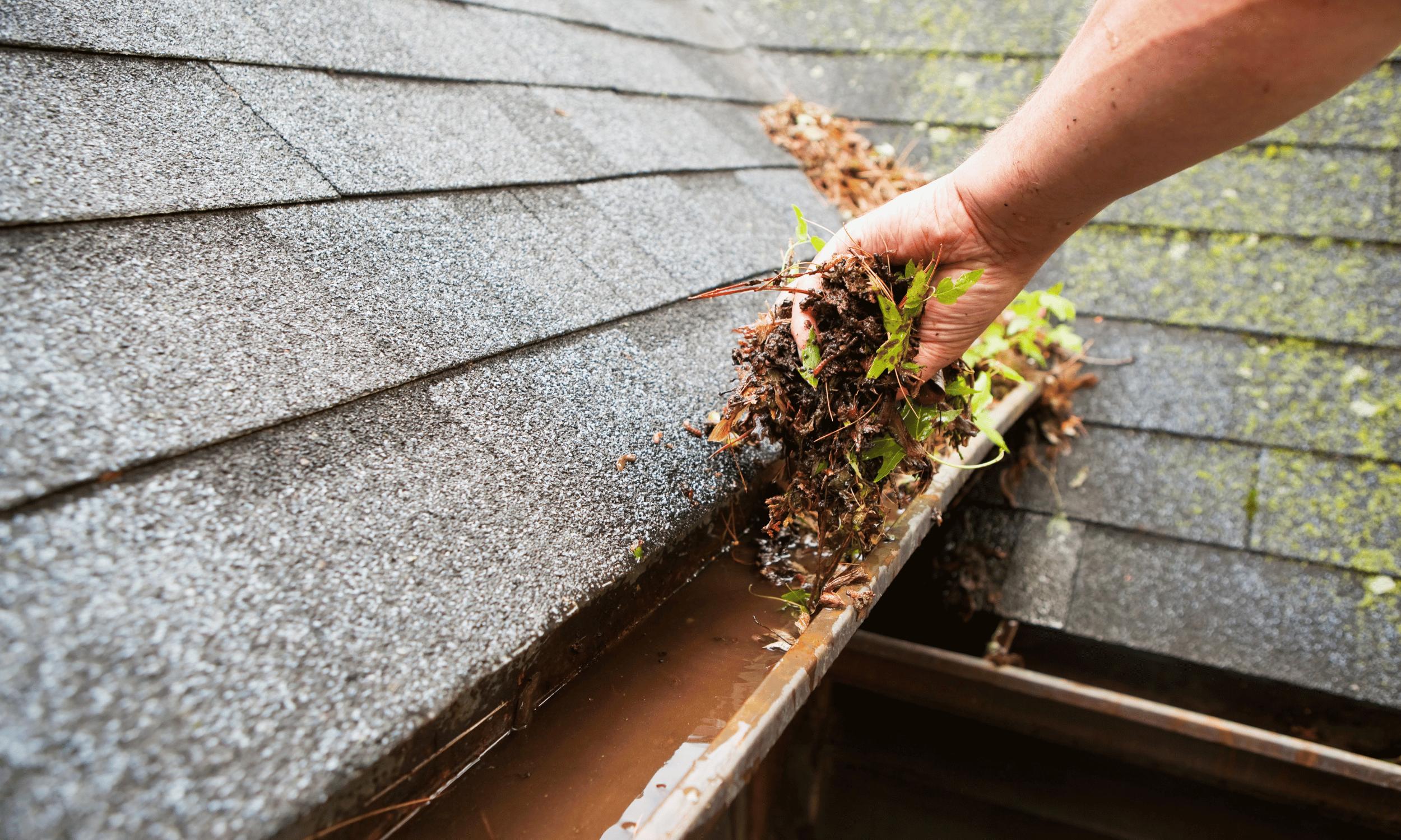 How to Train Your Gutters to Drain Right — North Texas Gutters