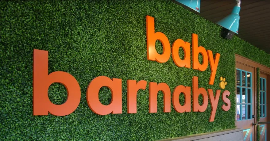 Baby Barnaby's | Discover Local Favorites Today — BARNABY'S CAFE