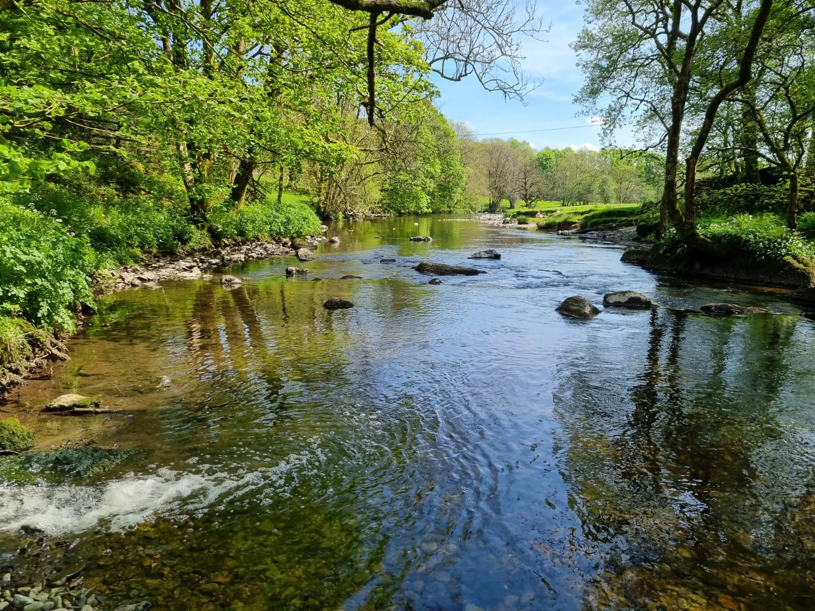 Clean River Kent Campaign