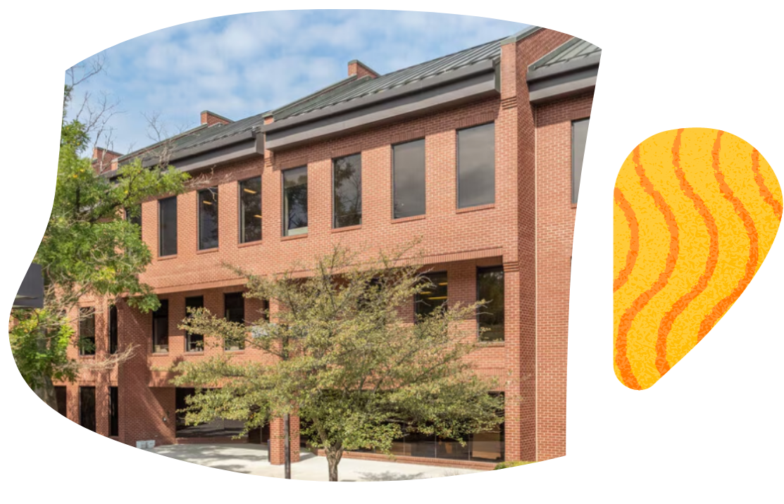 Blackbird Health | Virtual & In-Person Mental Health Care for Kids and Young Adults | Virtual ...