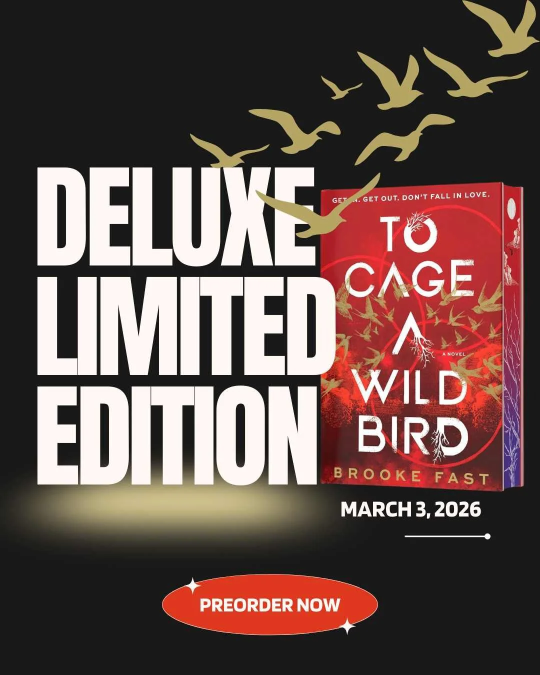 To Cage a Wild Bird Review: Dark Dystopian Romance — Mom Needs a Chapter