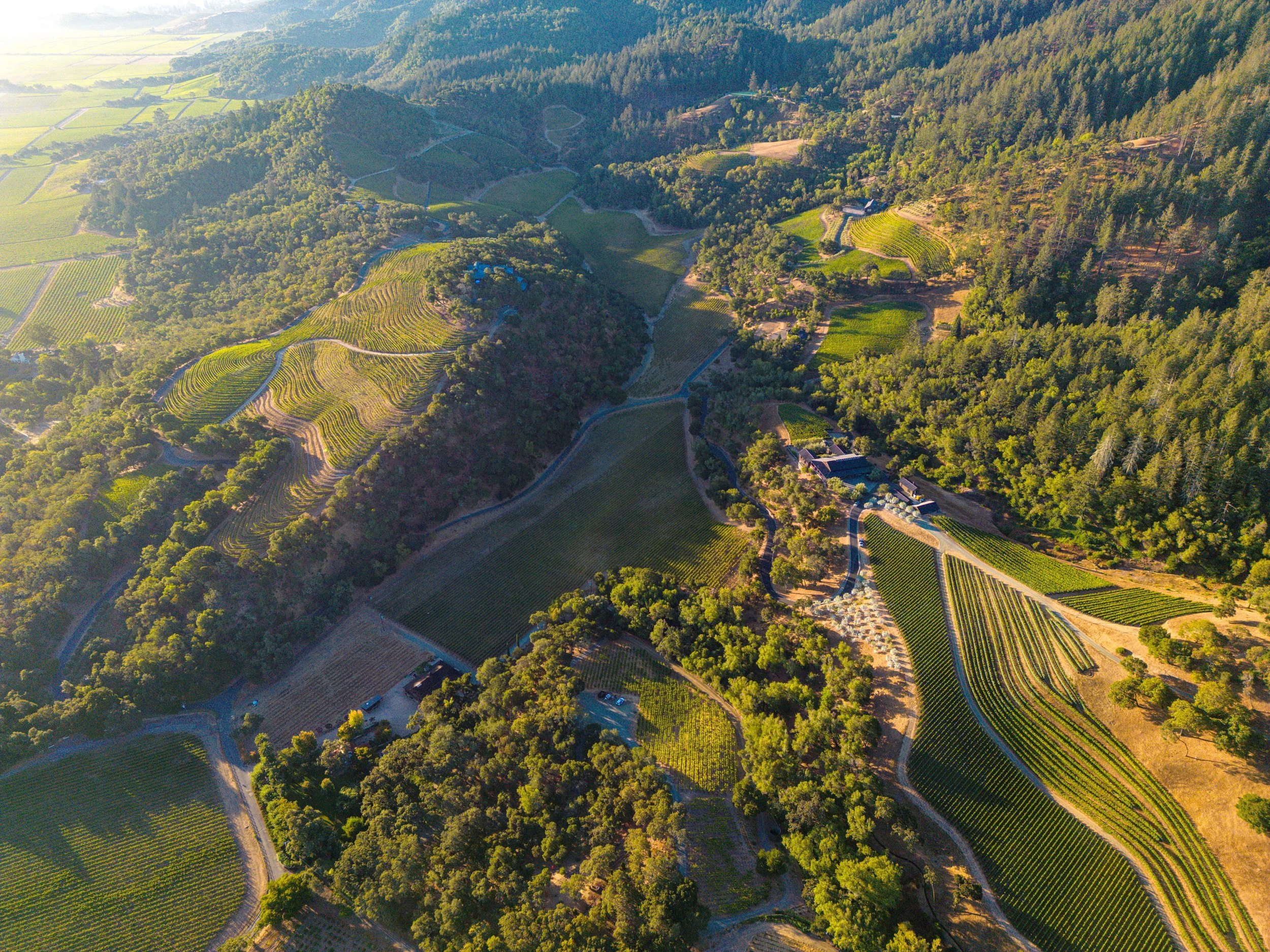 Estate | Experience the Beauty of the Halter Valley — The Vineyard House