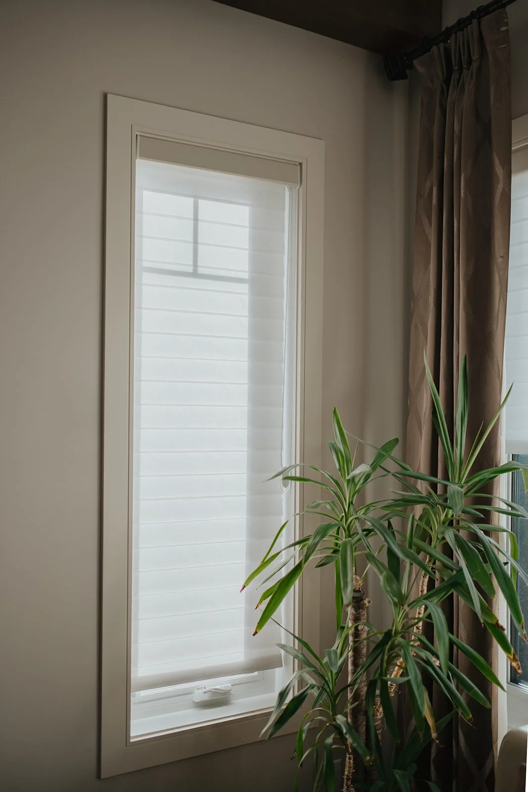 Custom Blinds in Western Canada | Novo Blinds
