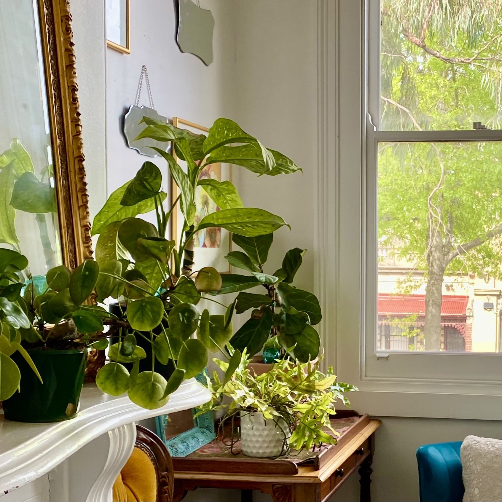 My word for the year | Donna Cameron