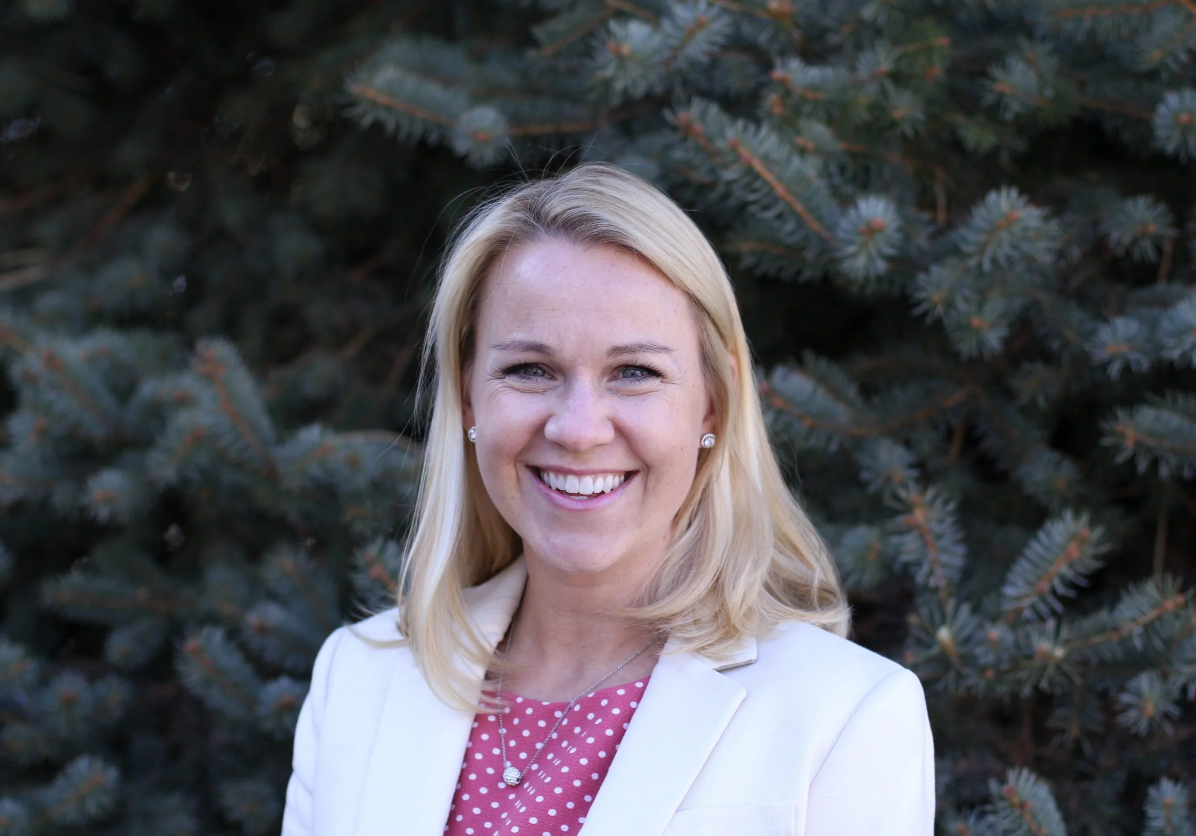 Schroer Counseling and Consulting