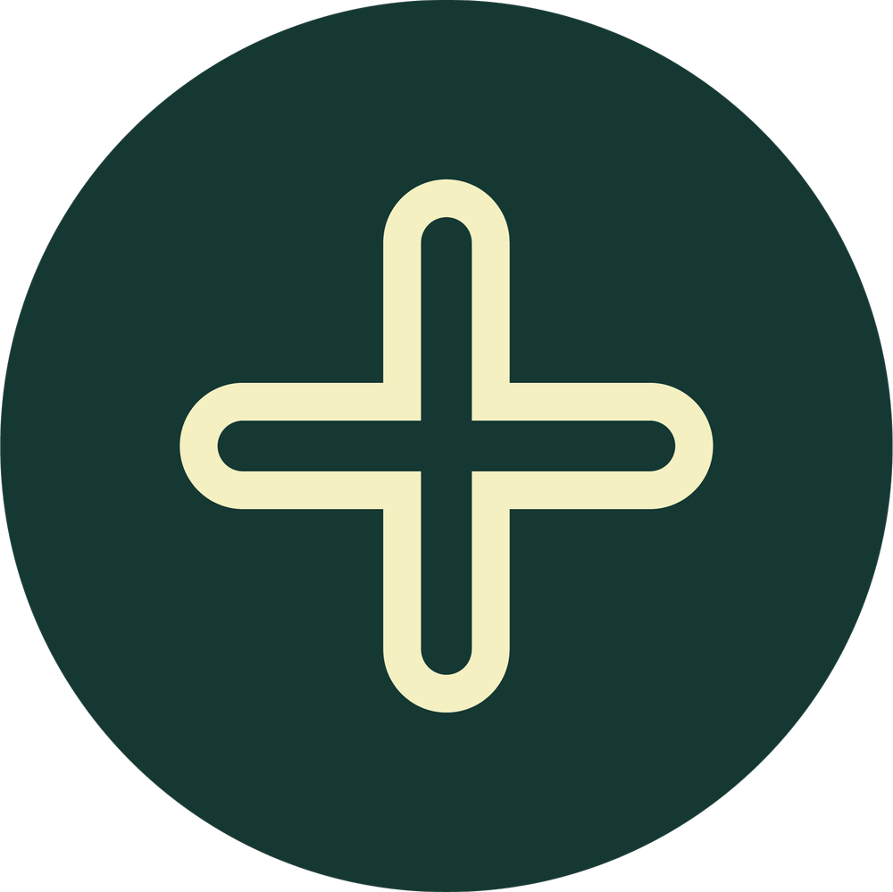 Provider Host Plus- Your Host Provider to Access the NDIS