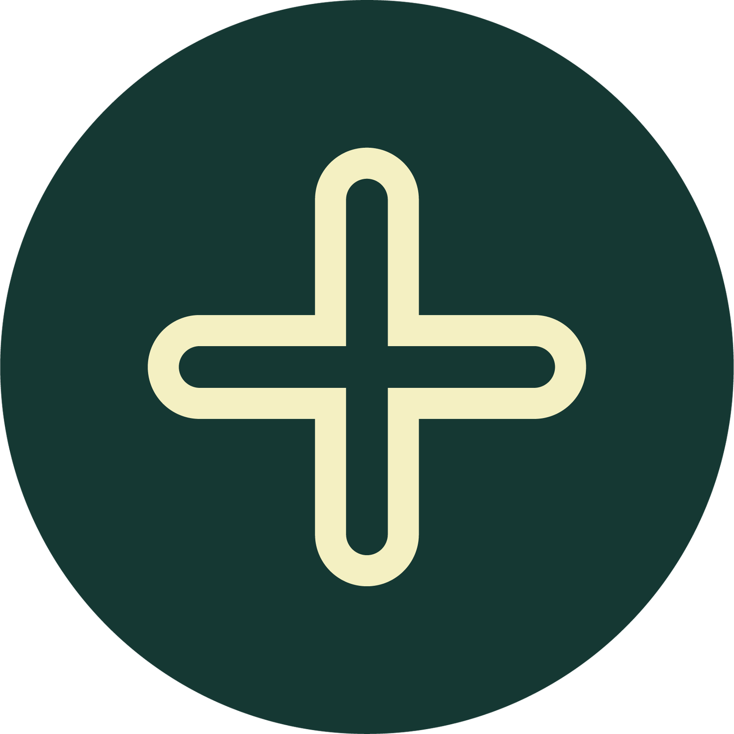 Provider Host Plus- Your Host Provider to Access the NDIS