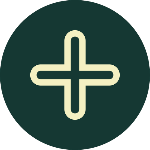 Provider Host Plus- Your Host Provider to Access the NDIS
