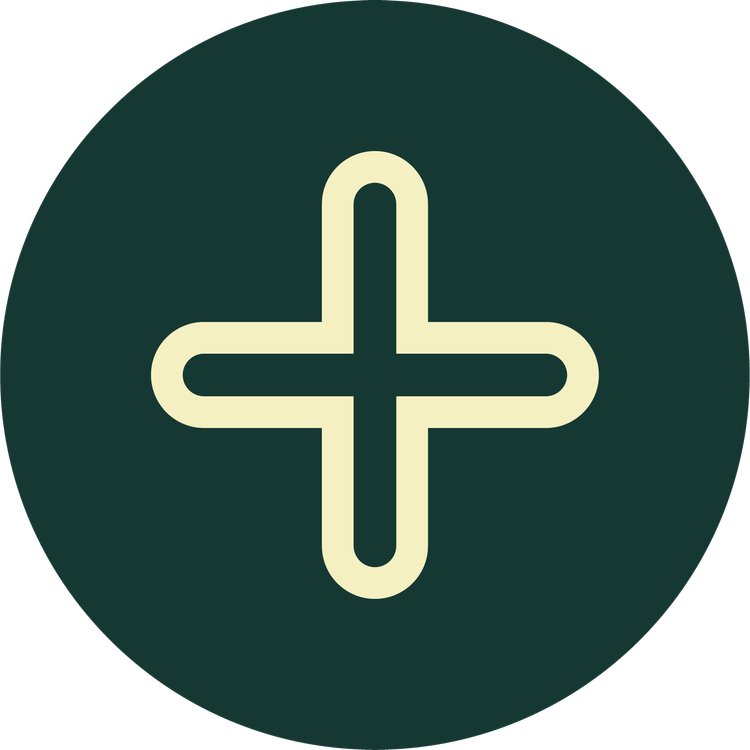 Provider Host Plus- Your Host Provider to Access the NDIS