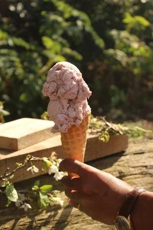 COLLECTIVE KENNINGTON