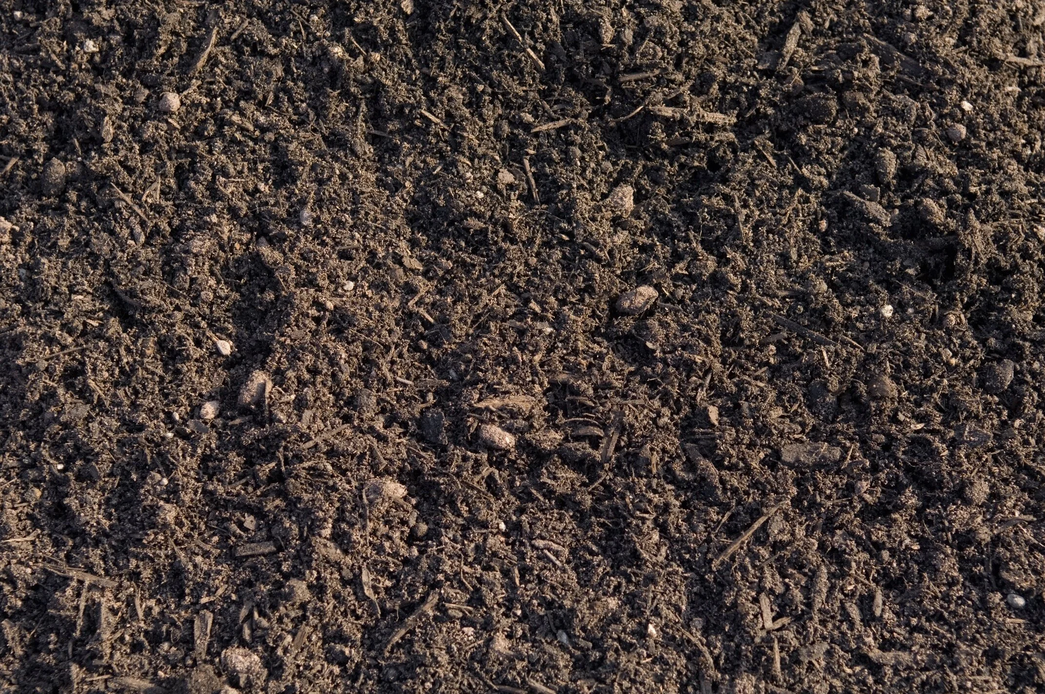 Seattle Mulch Man