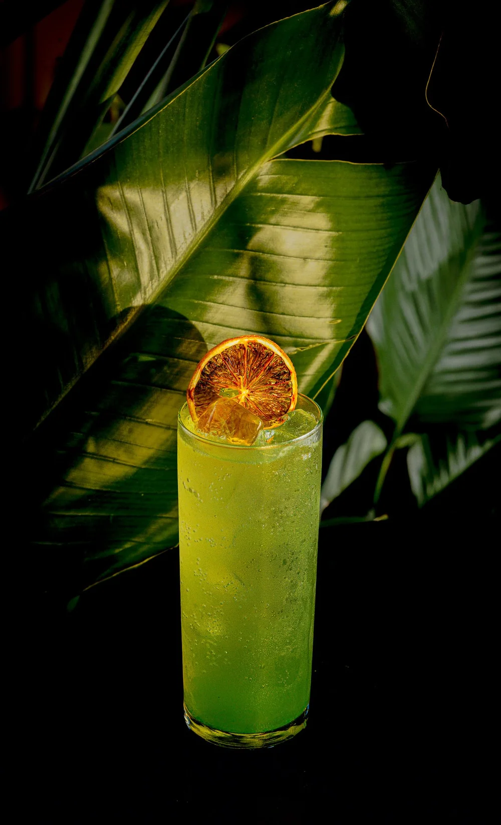 NightBloom | A late-night cocktail spot
