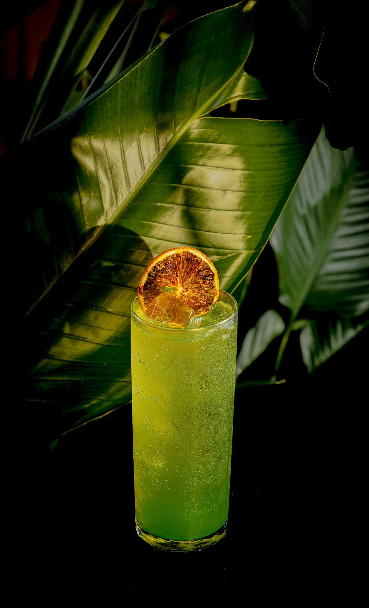 NightBloom | A late-night cocktail spot