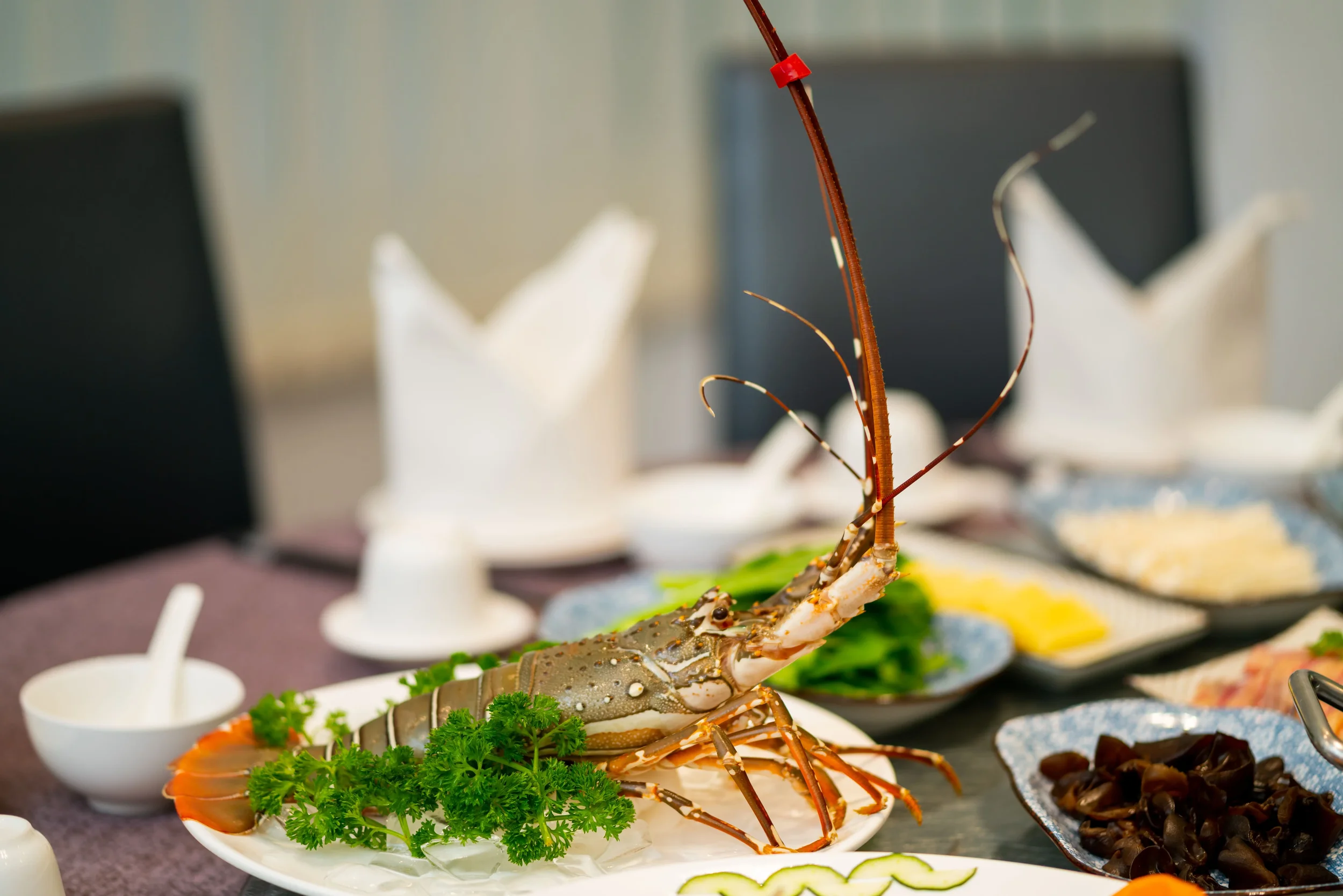 The Best Live Seafood Restaurant in Kuta: Ocean Dynasty Bali — Ocean ...