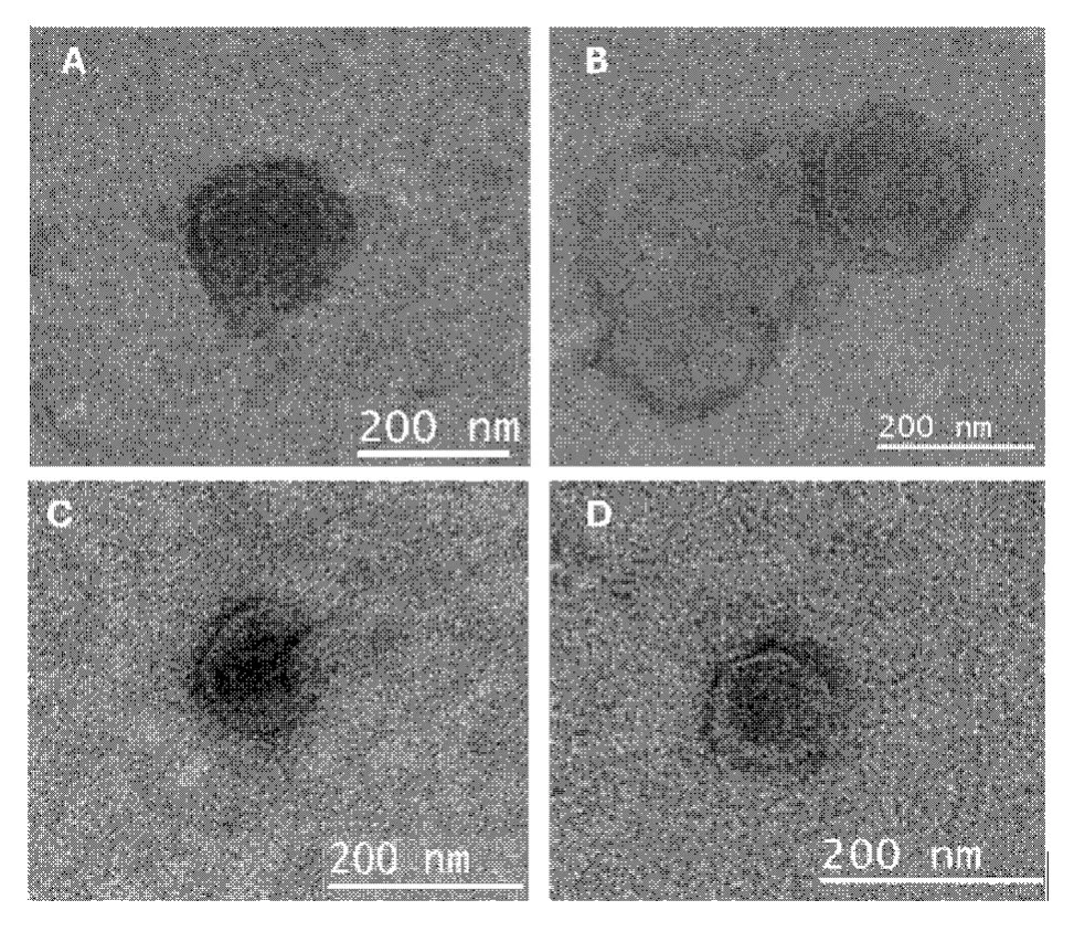 Real-Time Viral Control for Enclosed Spaces | Vapour Science — Vapour ...