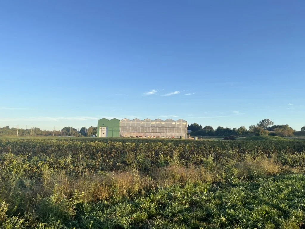 Frank's Organic Farms