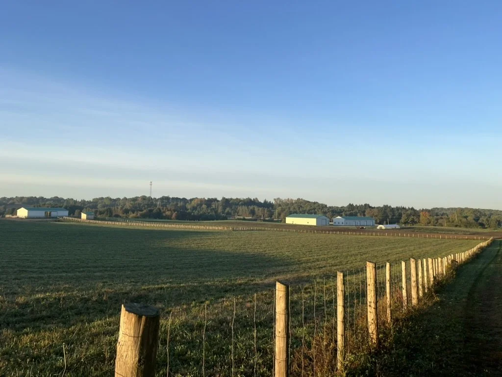 Frank's Organic Farms