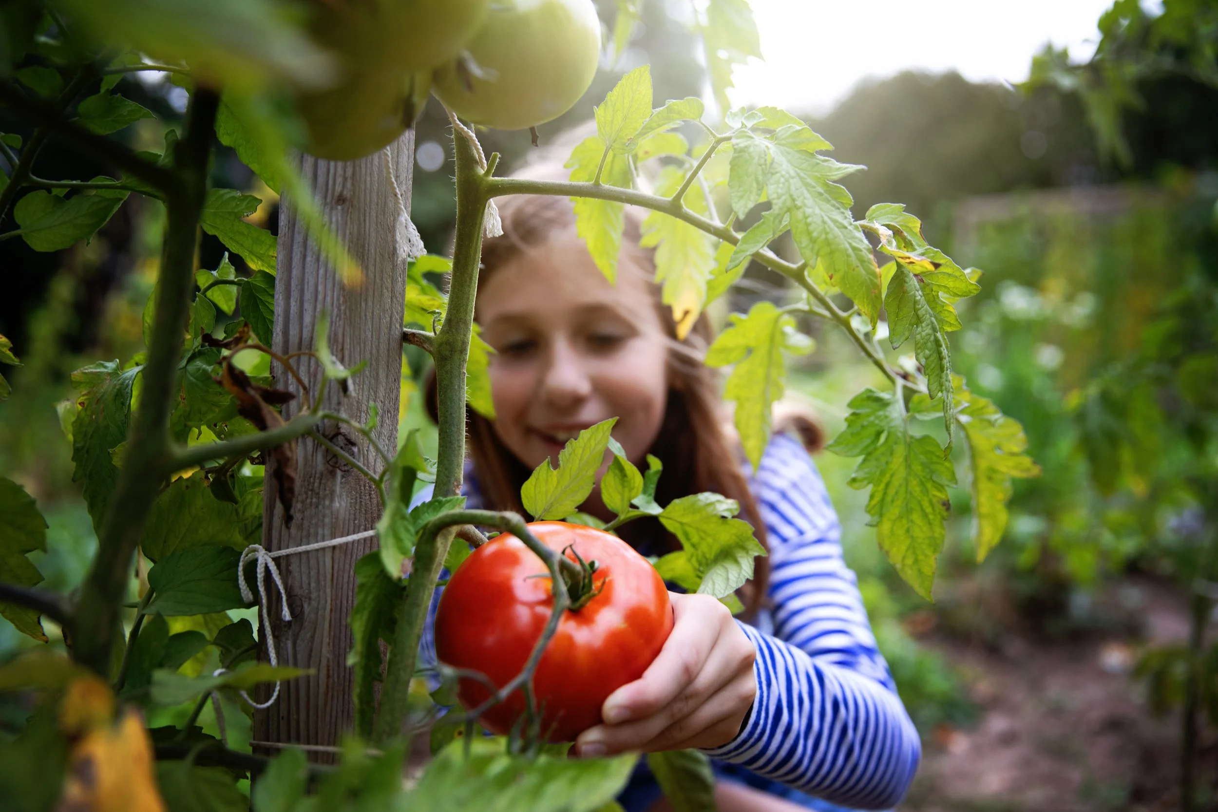 Frank's Organic Farms