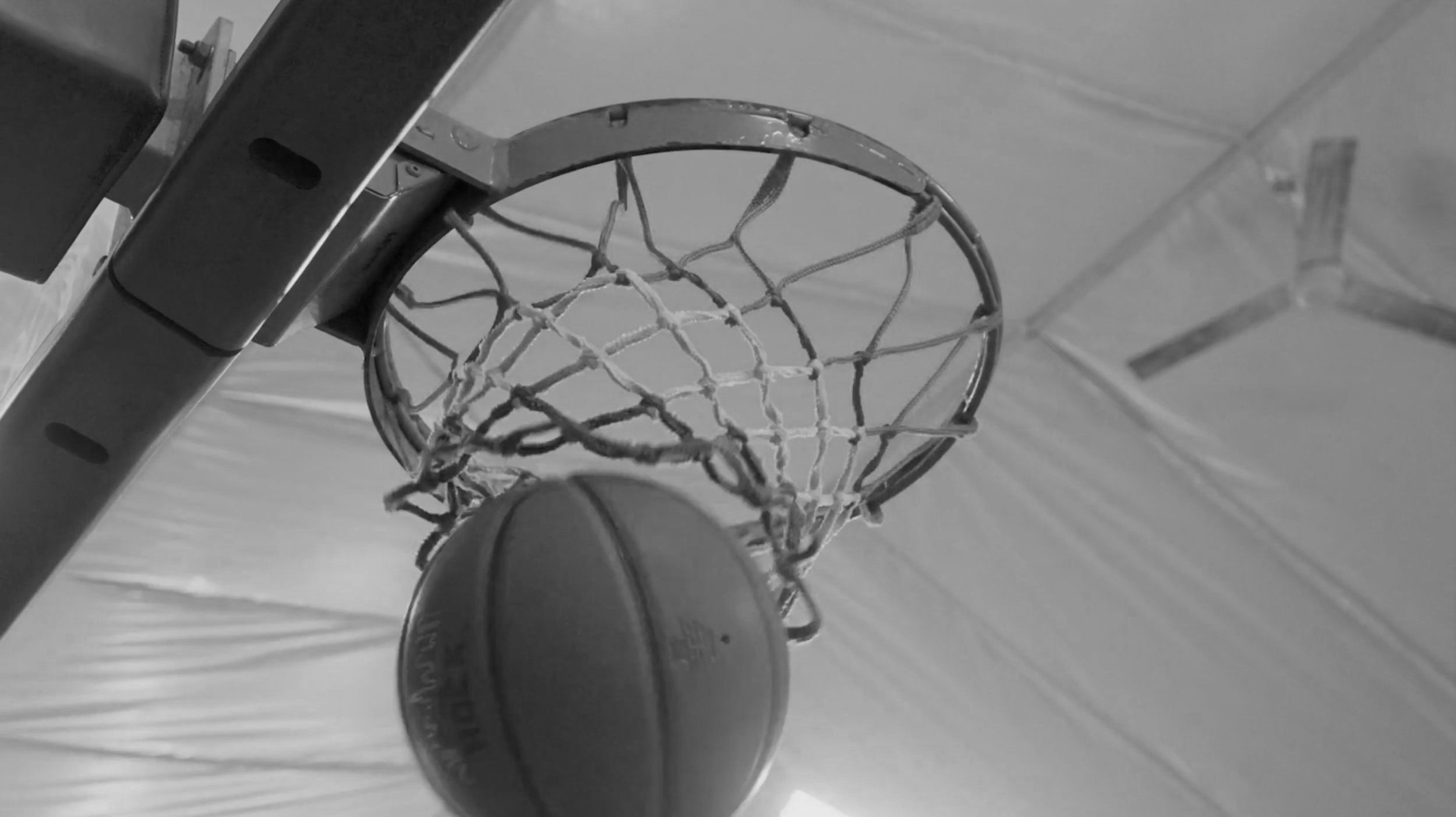 Hoop Lab | Youth Basketball Training, Long Island New York and New Jersey