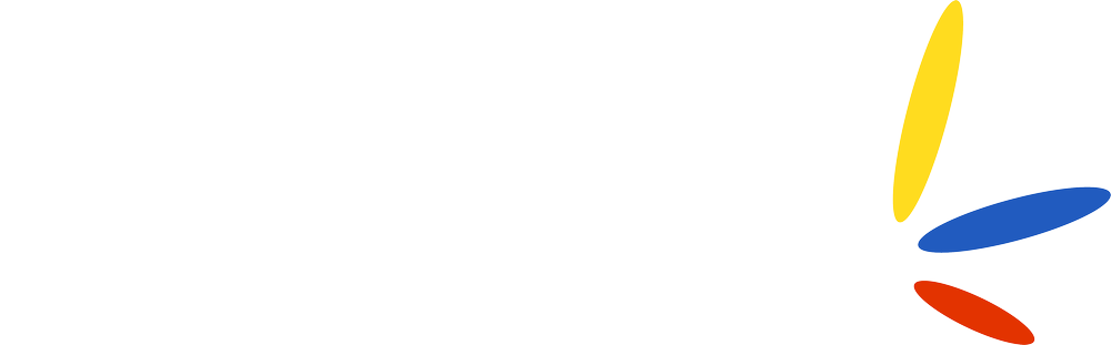 About | Discover Our Journey — Dizolve