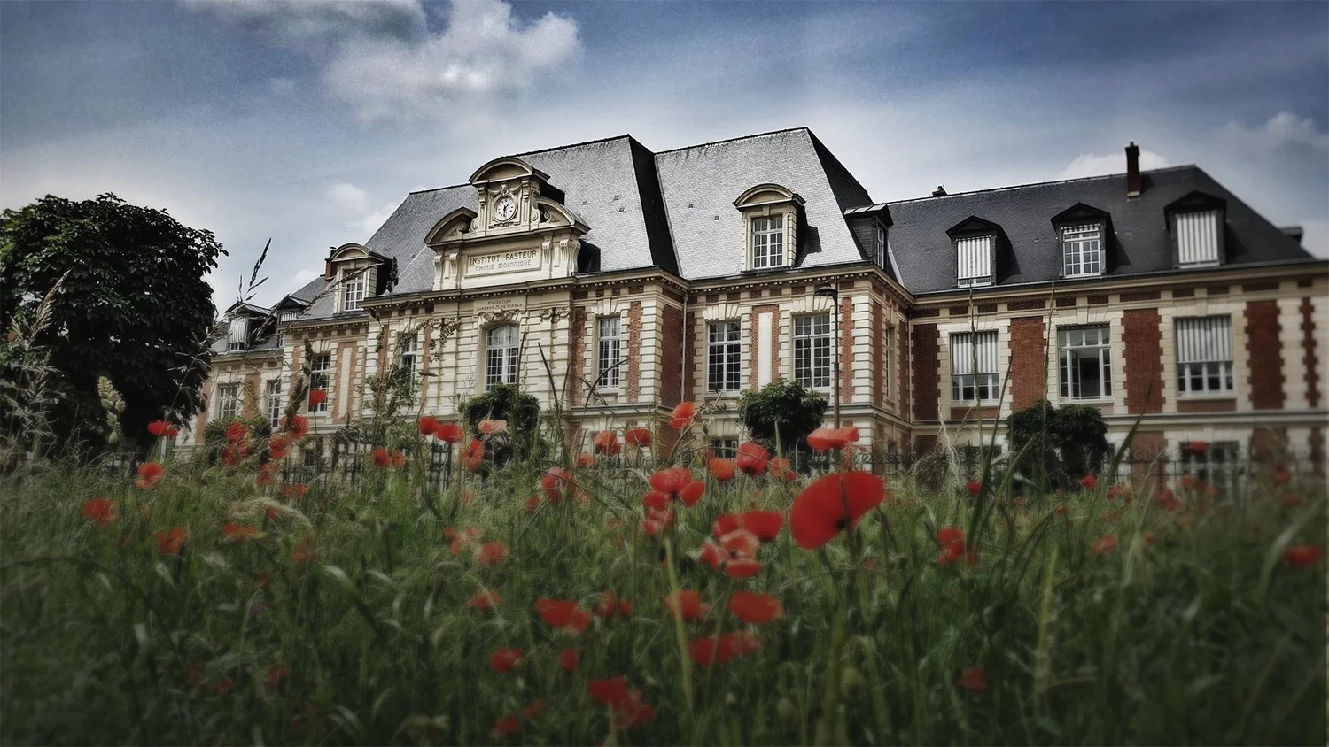 Paris Conference on Risks from Mirror Life