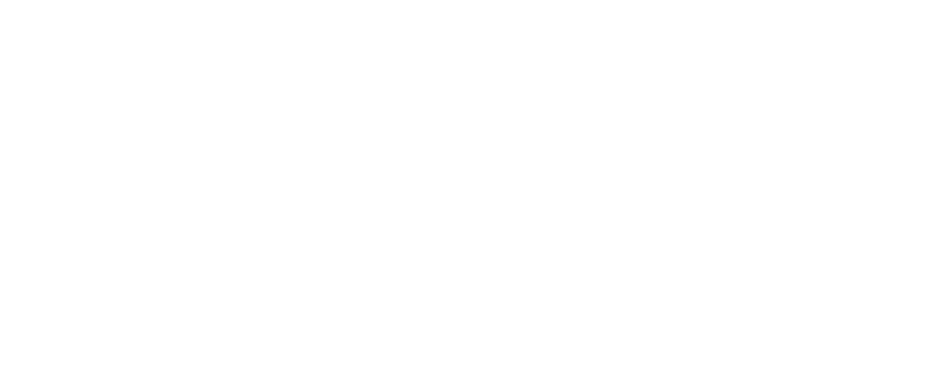 intlx Solutions