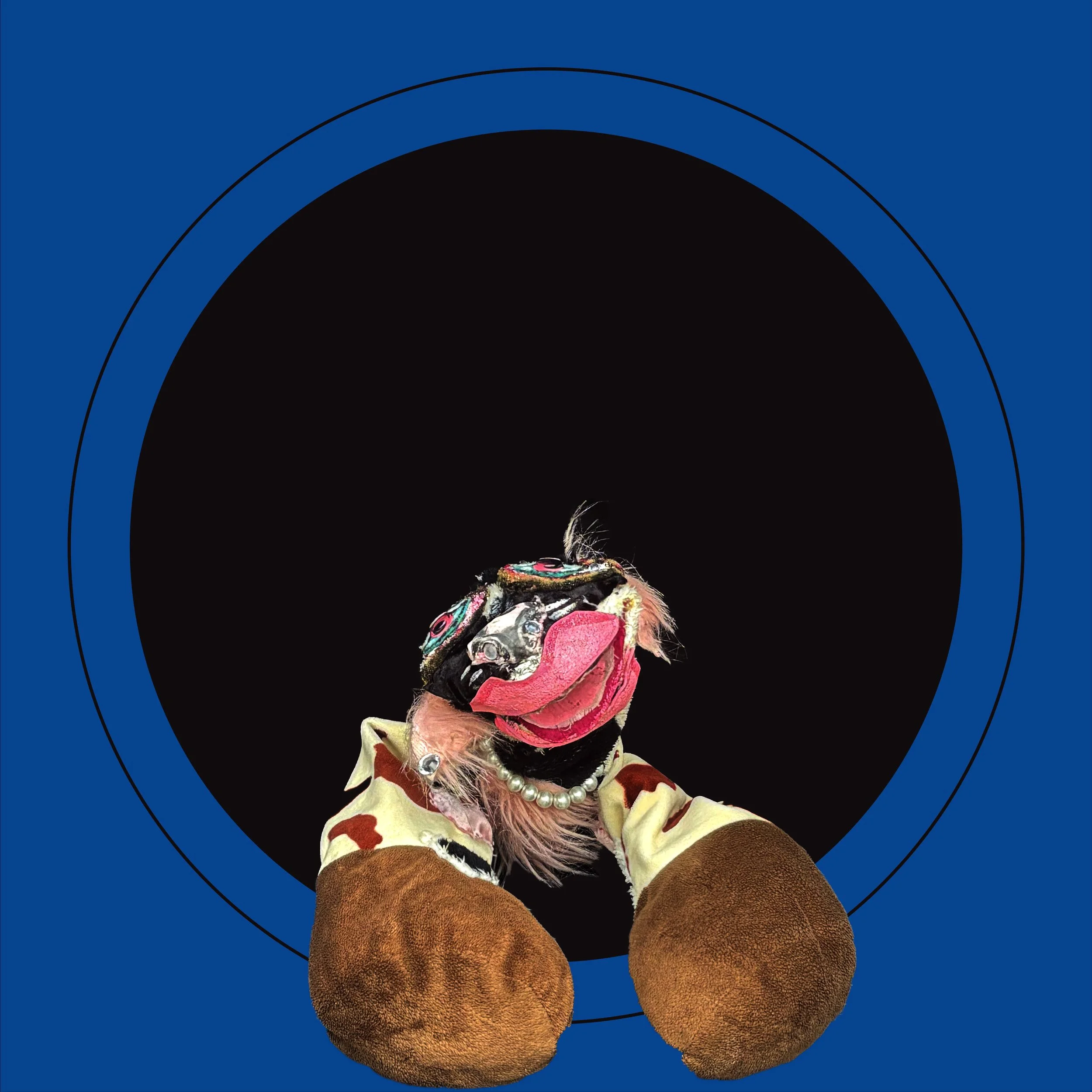 The Sugar Hole — Color Club