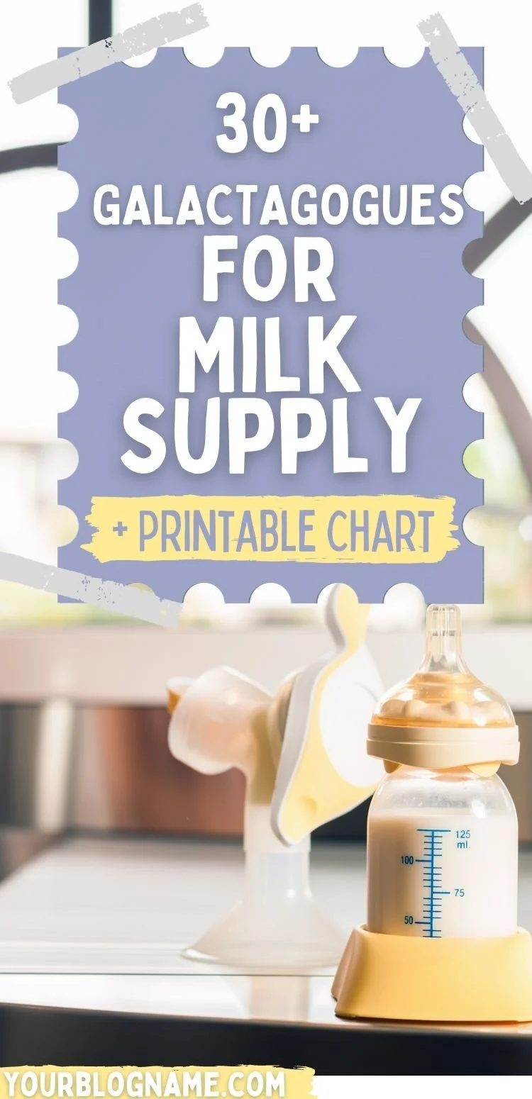30+ Galactagogues for Increasing Milk Supply — The Breastfeeding Mama