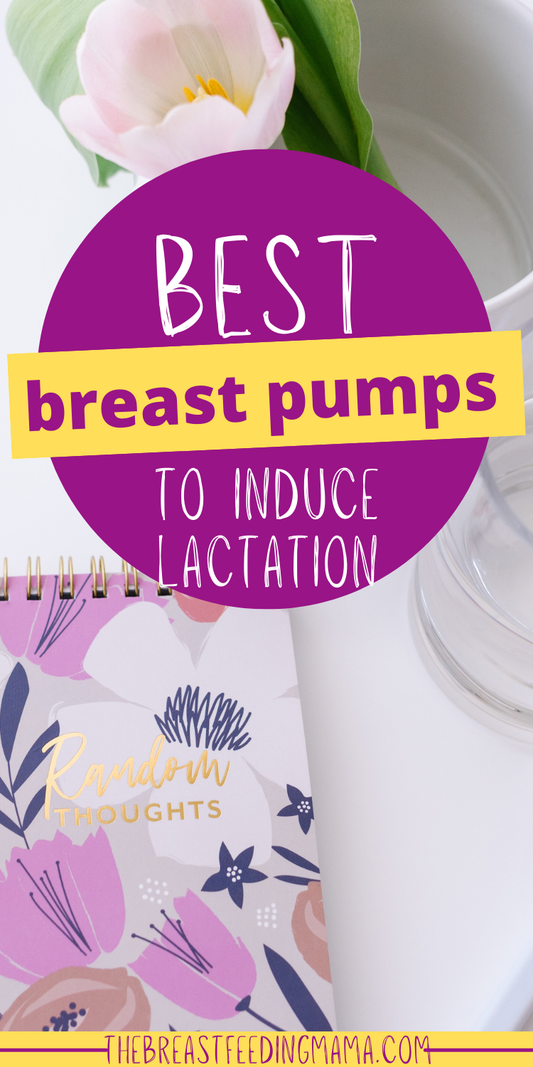 The Best Breast Pump to Induce Lactation (2022) — The Breastfeeding Mama