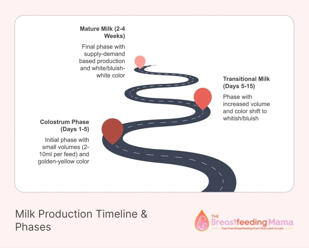 When Does Milk Supply Regulate? Key Milestones and Expert Tips for New ...