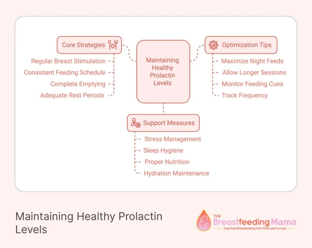 When is Prolactin Highest? A Guide to Peak Production Times for Nursing ...