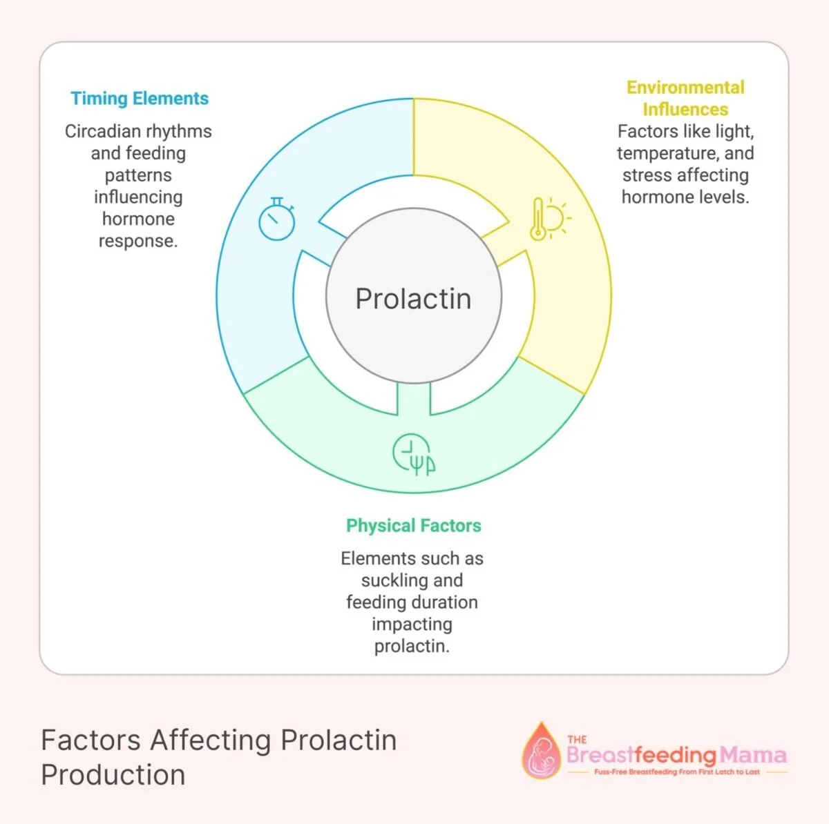 When is Prolactin Highest? A Guide to Peak Production Times for Nursing ...