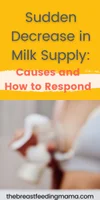 Sudden Decrease in Milk Supply: Causes and How to Respond — The ...