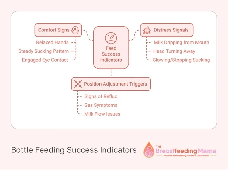 10 Comfortable Bottle Feeding Positions: A Parent's Complete Guide for ...