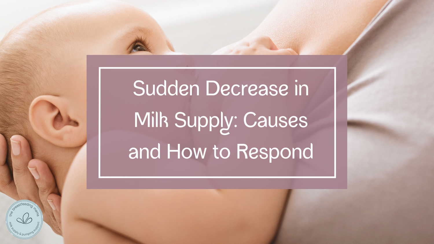 Sudden Decrease in Milk Supply: Causes and How to Respond — The ...