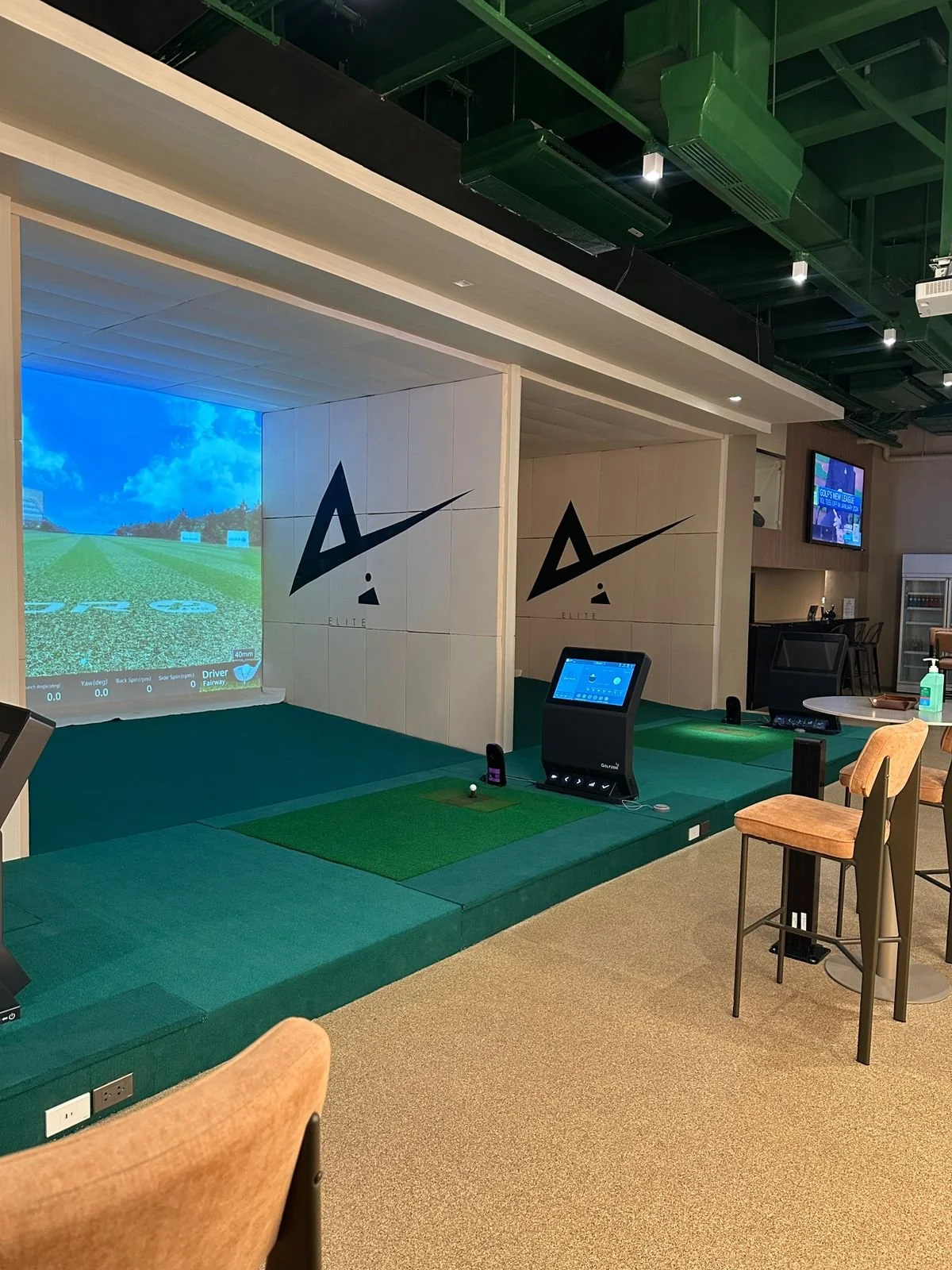 Play Indoor Golf | Alpha Sports Elite — ALPHA SPORTS ELITE