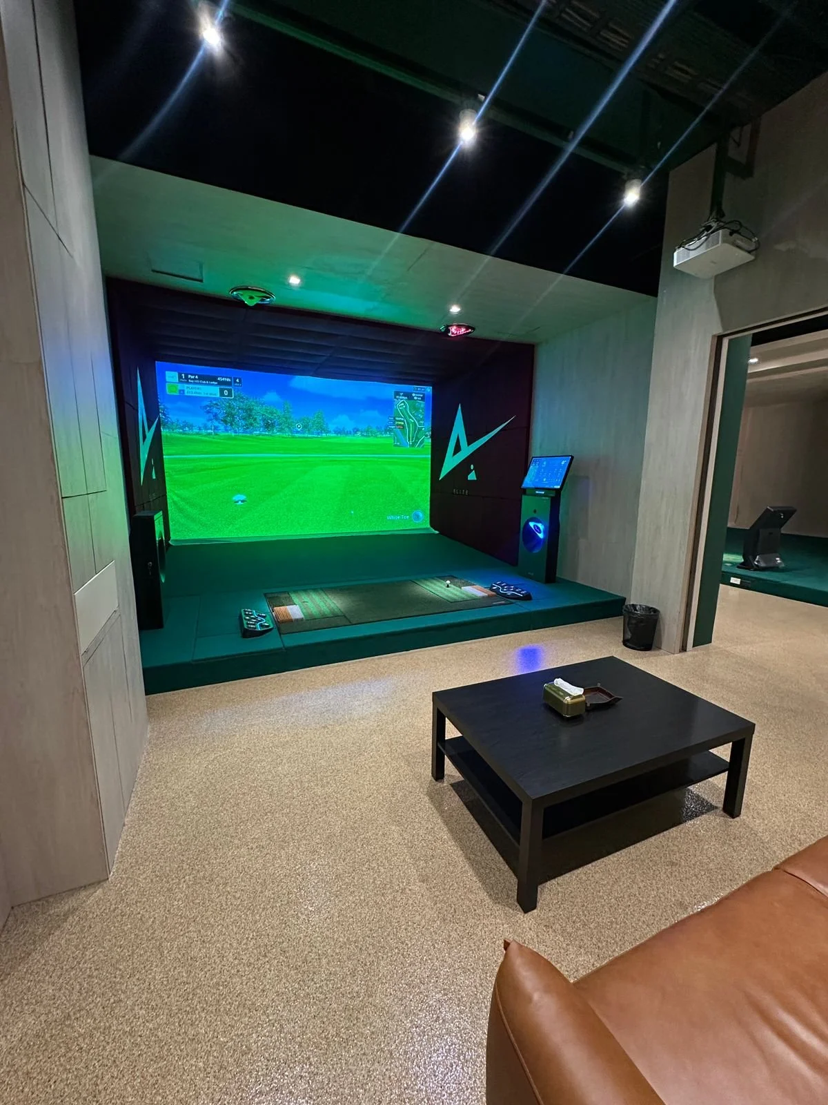 Play Indoor Golf | Alpha Sports Elite — ALPHA SPORTS ELITE