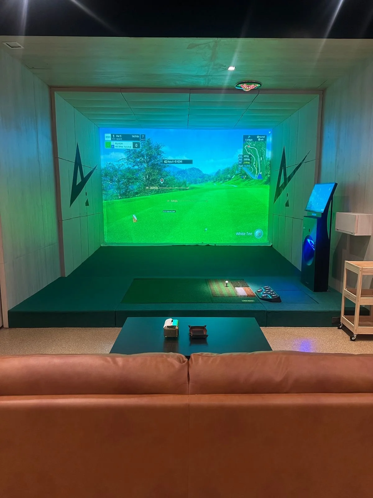 Play Indoor Golf | Alpha Sports Elite — ALPHA SPORTS ELITE