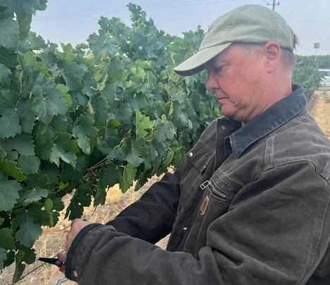 Le Vigne Winery, from cattle ranching to 2025 Winery of the Year — Levigne