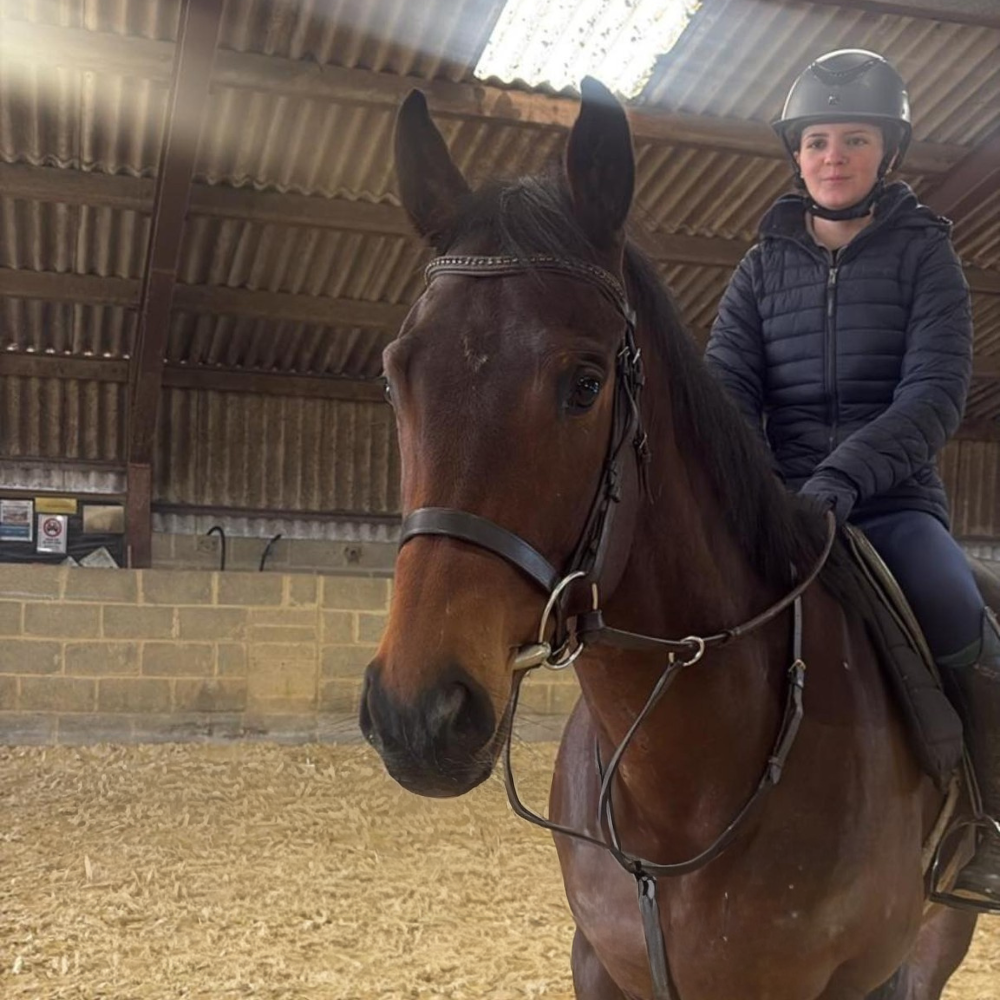 Bertie — SB Racehorse Rehoming