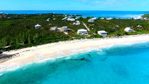 Explore Green Turtle Cay, Bahamas | Beaches, Snorkeling & Island Life ...