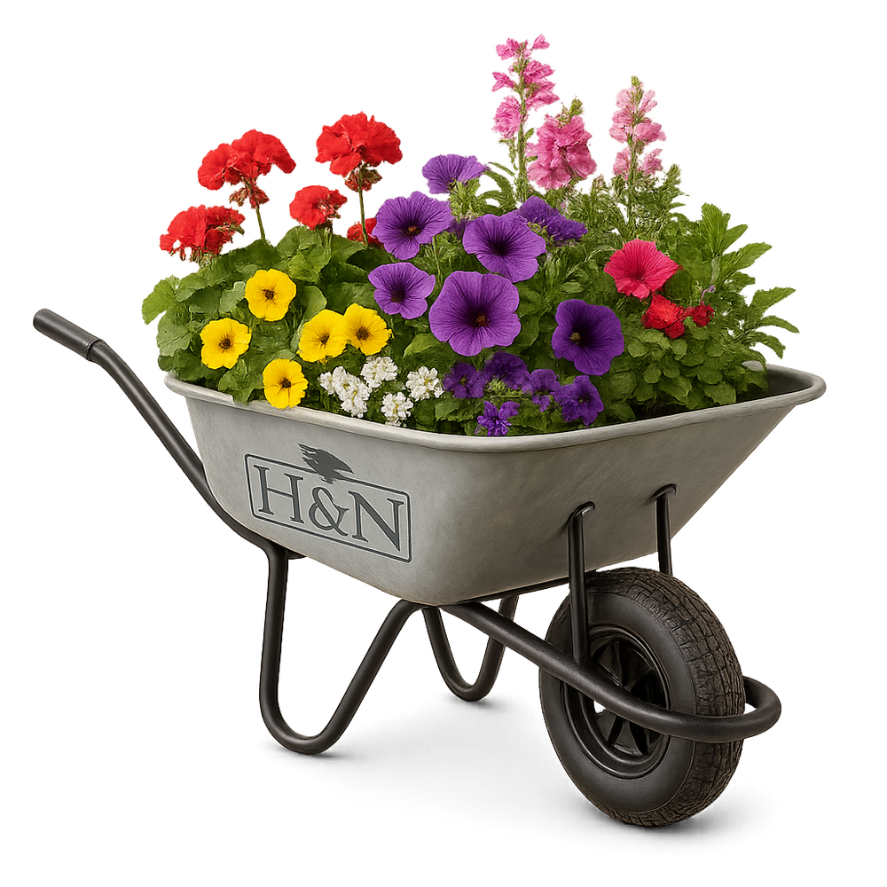 Seasonal Color Change | Enhance Your Landscape Enjoyment — H&N ...