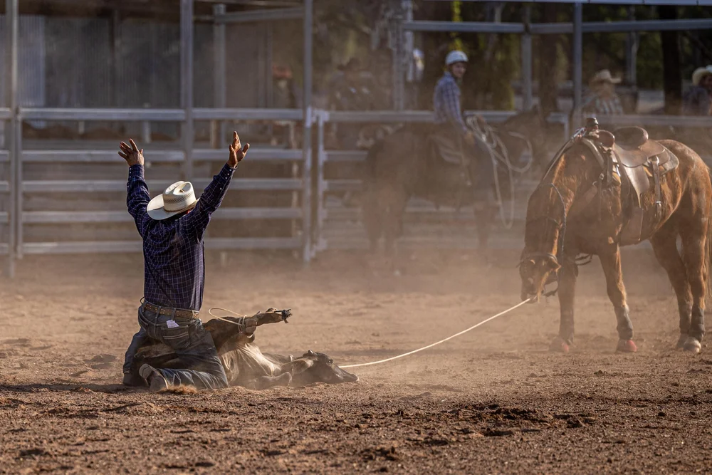 Program — Laura Rodeo & campdraft