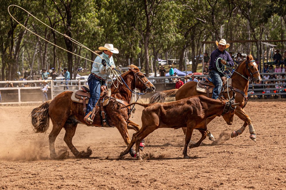 Program — Laura Rodeo & campdraft