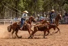 Program — Laura Rodeo & campdraft
