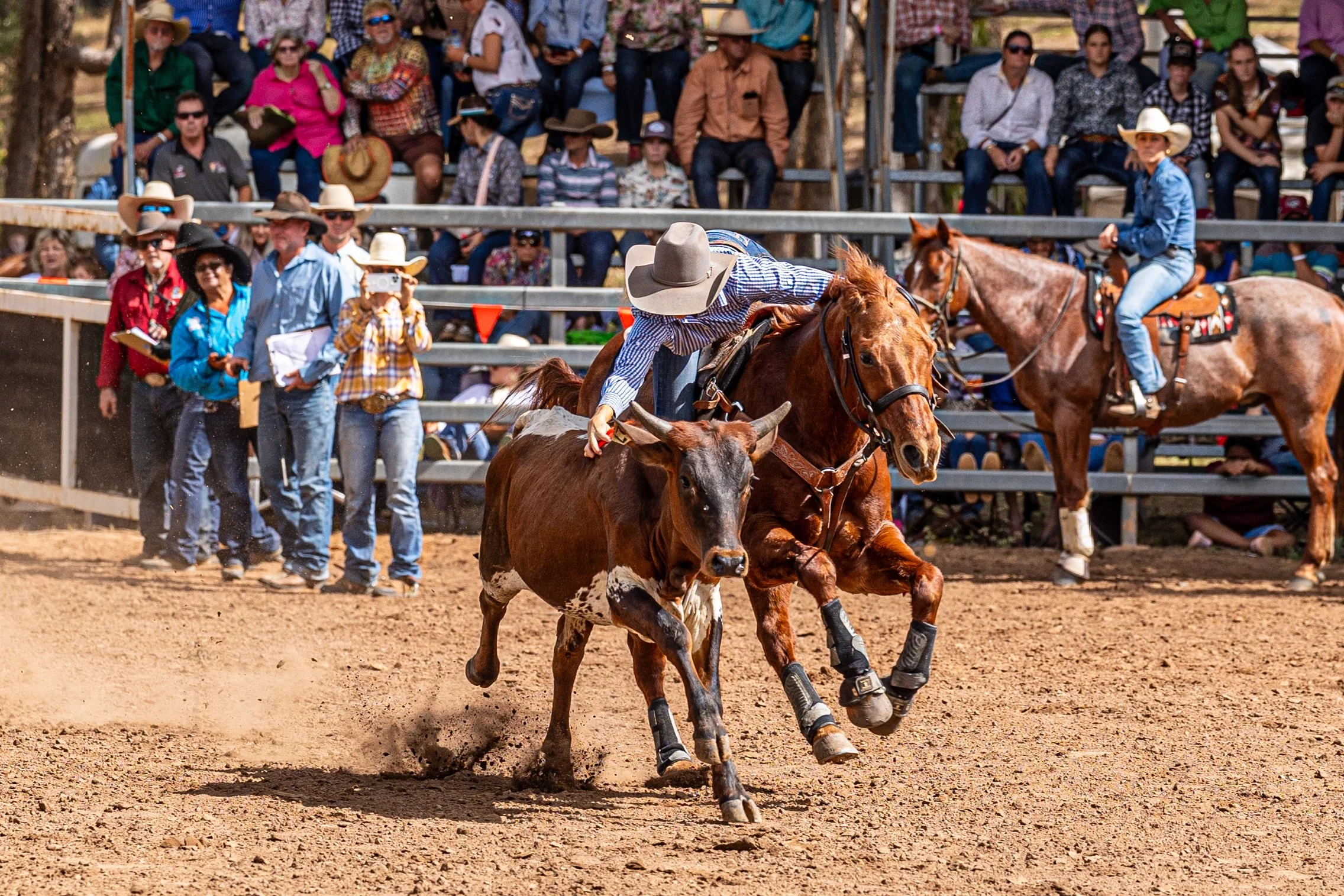 Laura Rodeo & campdraft