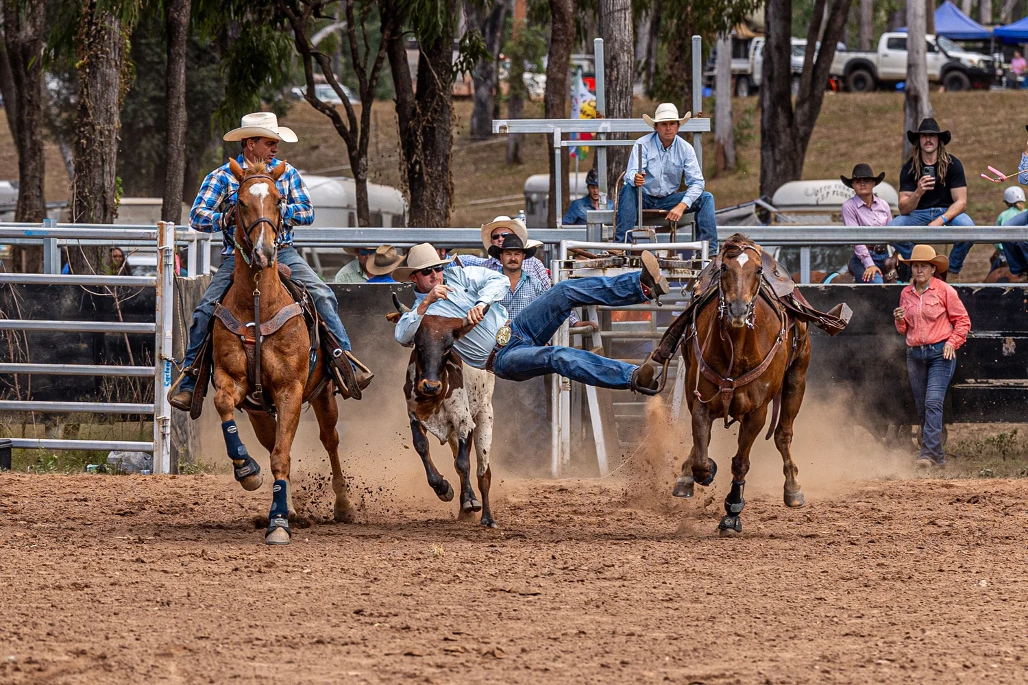 Laura Rodeo & campdraft