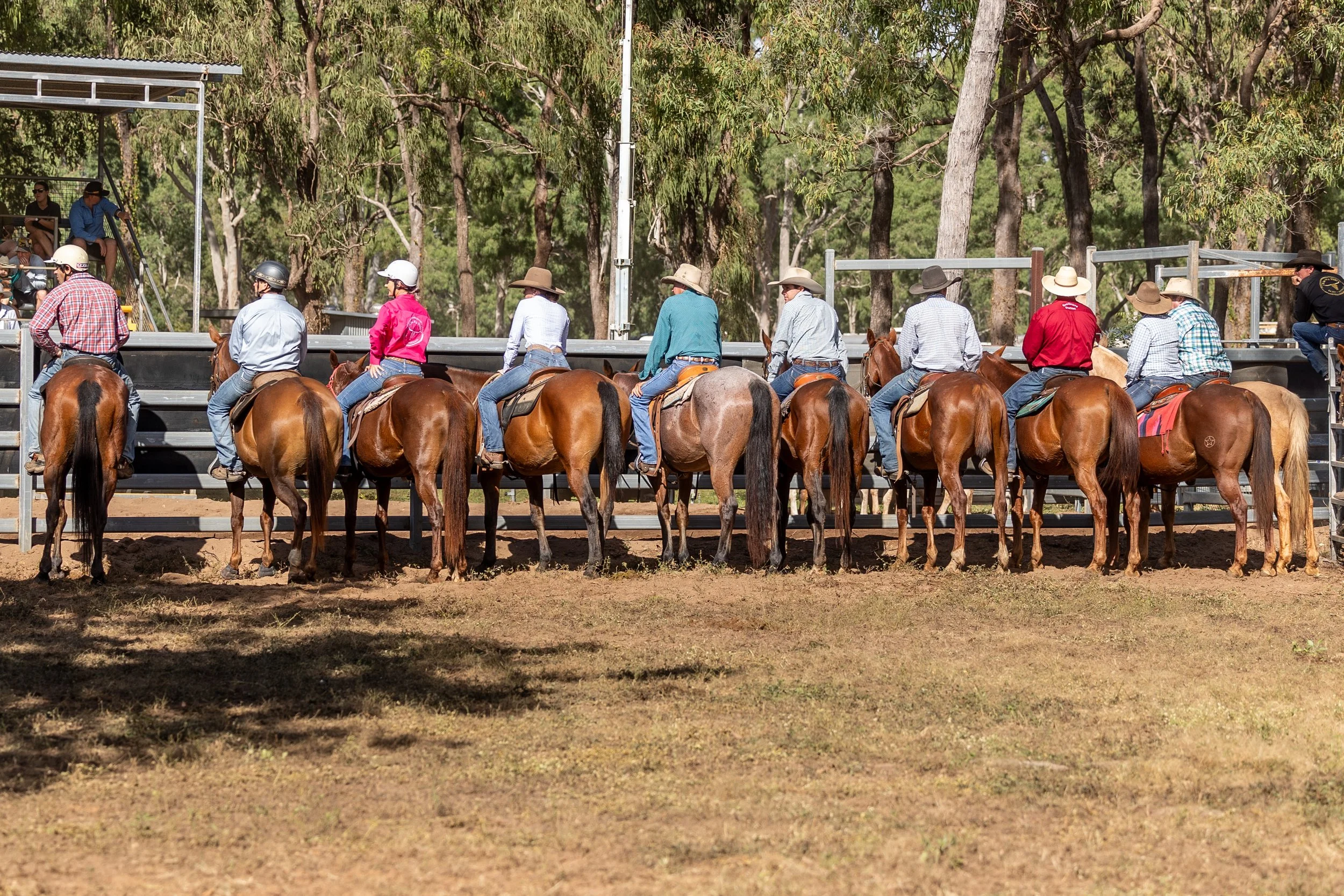 Laura Rodeo & campdraft