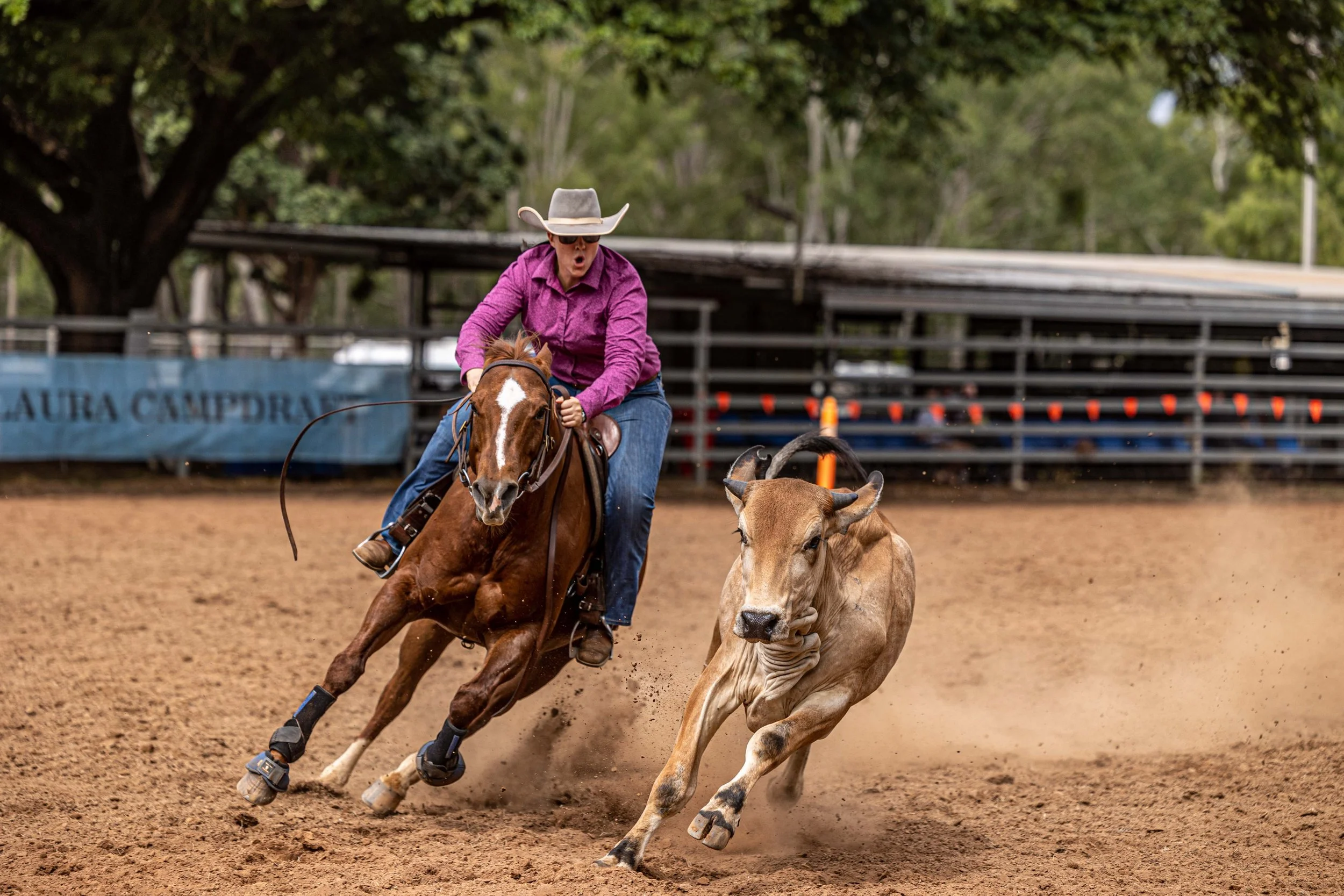 Program — Laura Rodeo & campdraft