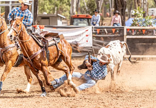 Laura Rodeo & campdraft